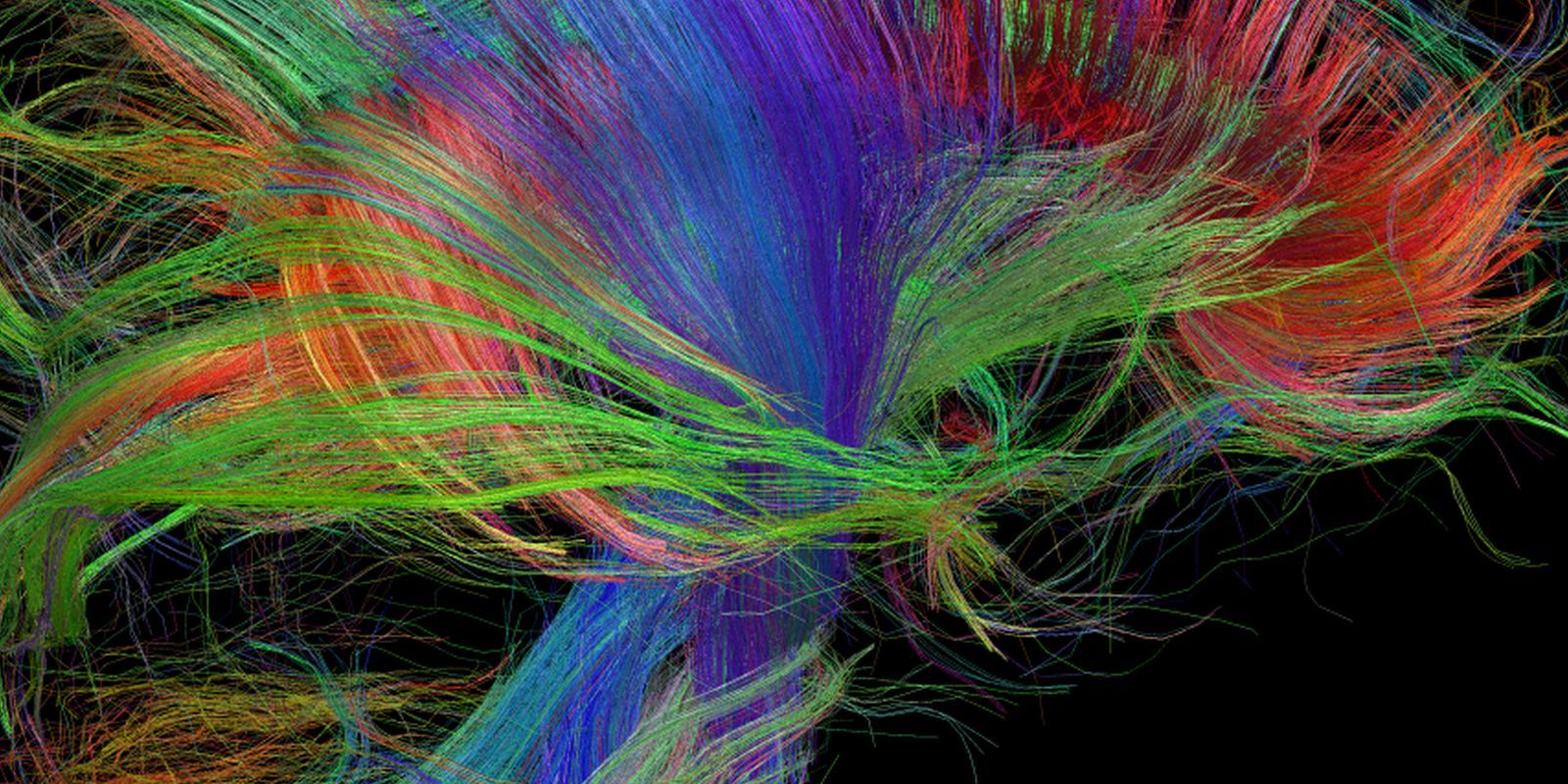 Student assistant wanted for Data Annotation for Deep Learning ...