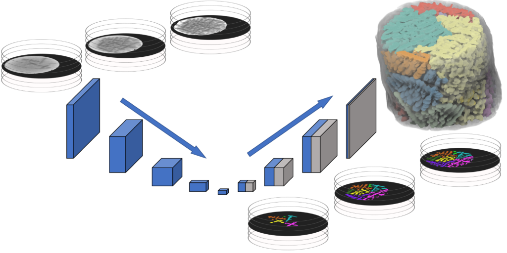 Avanti – helmholtz-imaging.de