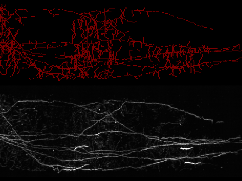 Understanding and analyzing biopores and plant roots in Soil Cores using Semantic Segmentation ...