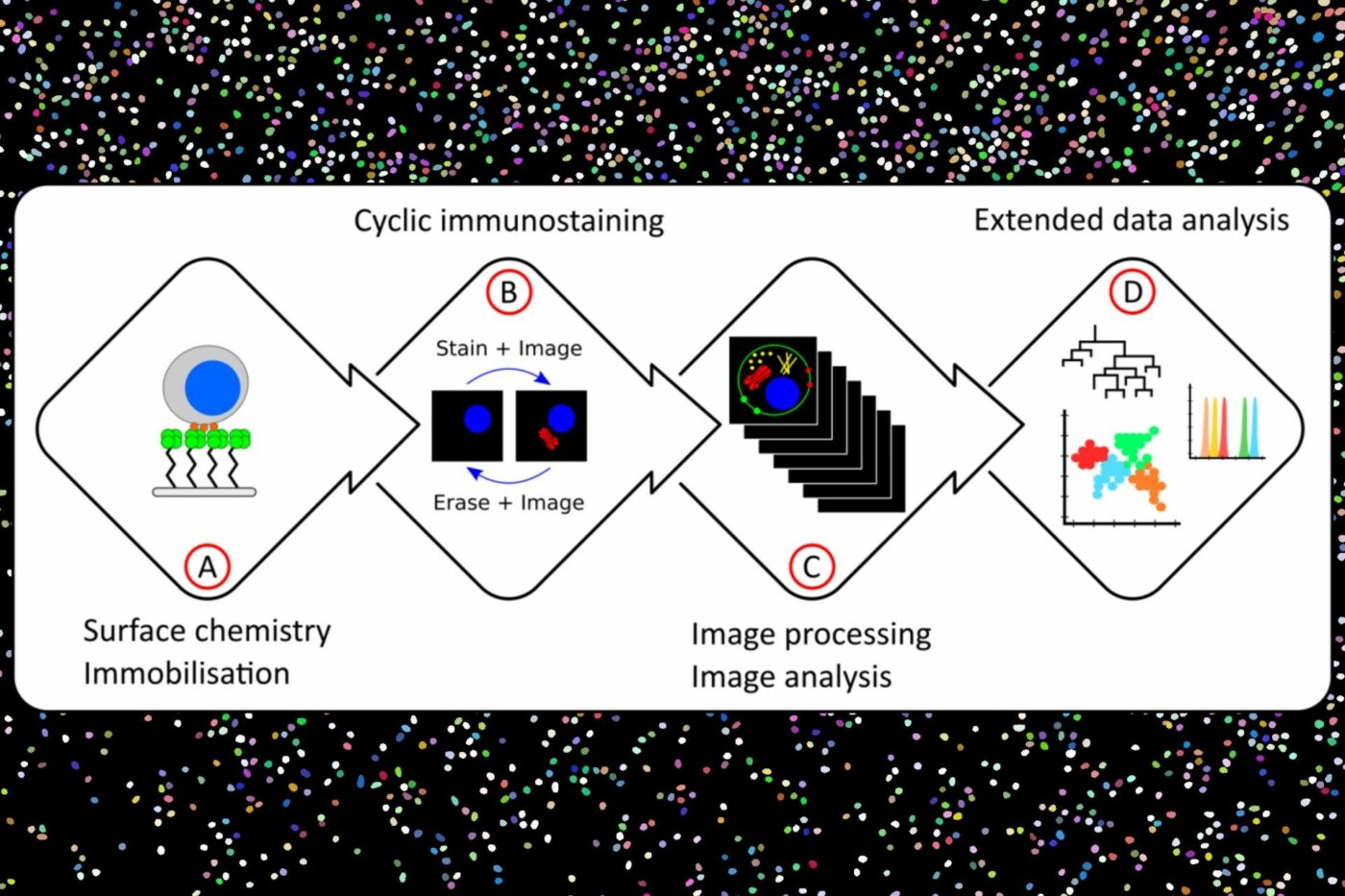 UCS – helmholtz-imaging.de