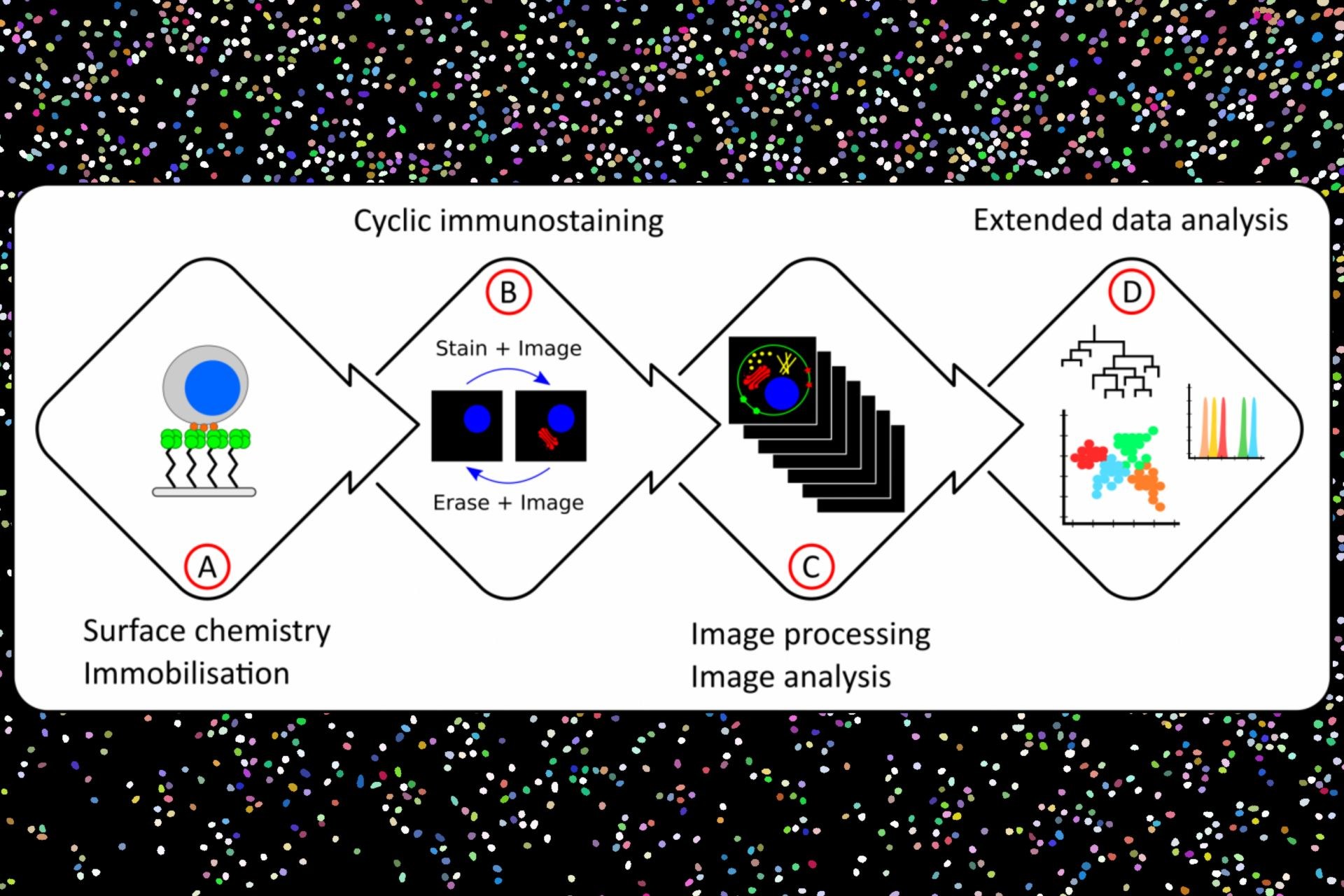 UCS – helmholtz-imaging.de