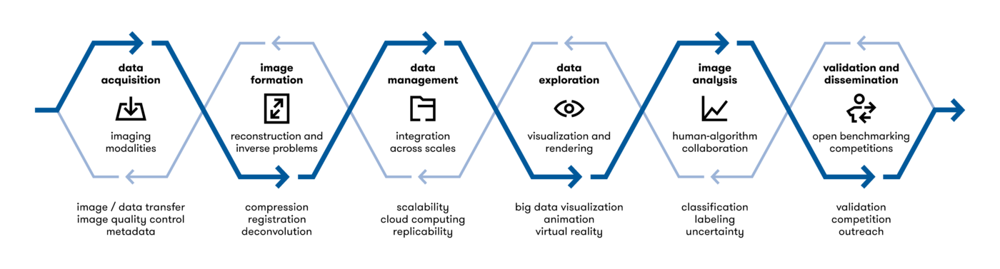 Six Main Tasks in Image Processing – helmholtz-imaging.de