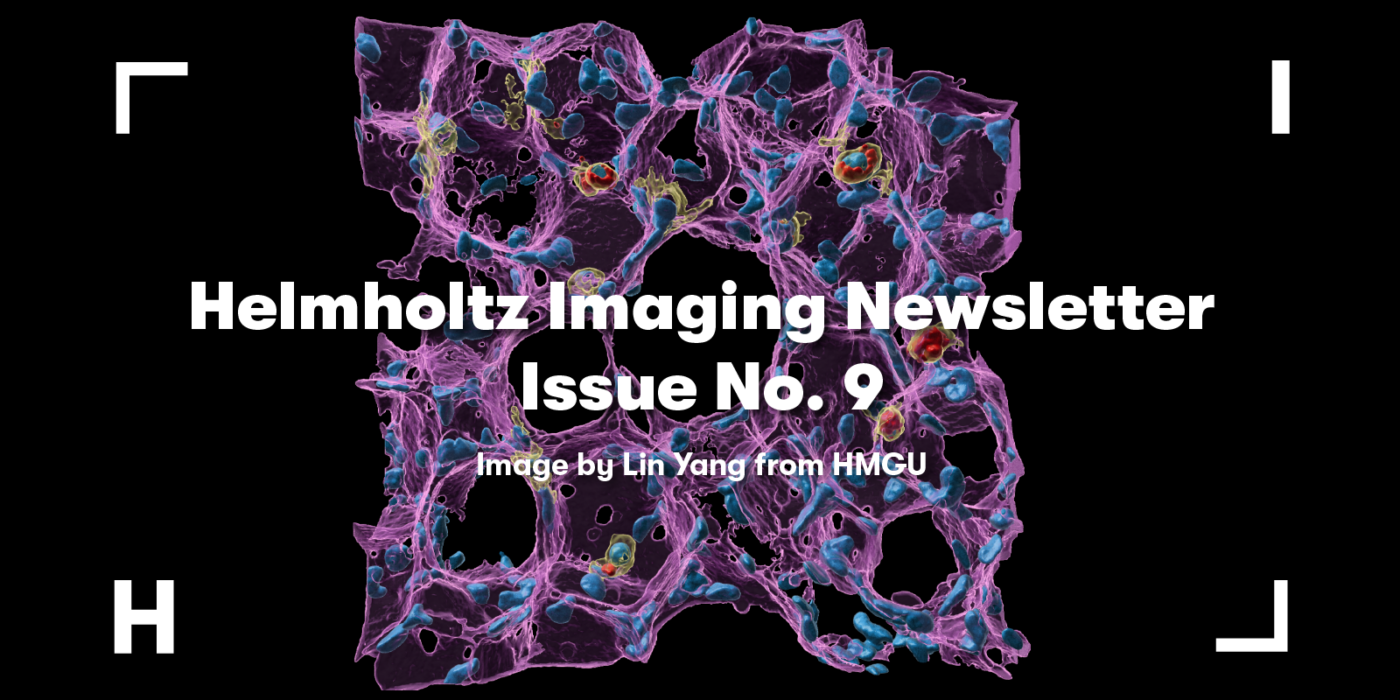 Helmholtz Imaging Newsletter Issue No. 9 – helmholtz-imaging.de