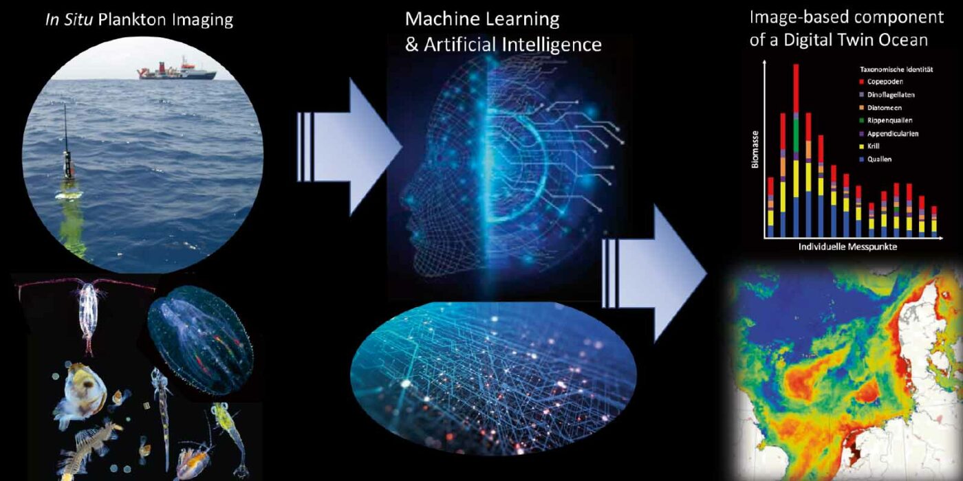 DIPLO – helmholtz-imaging.de