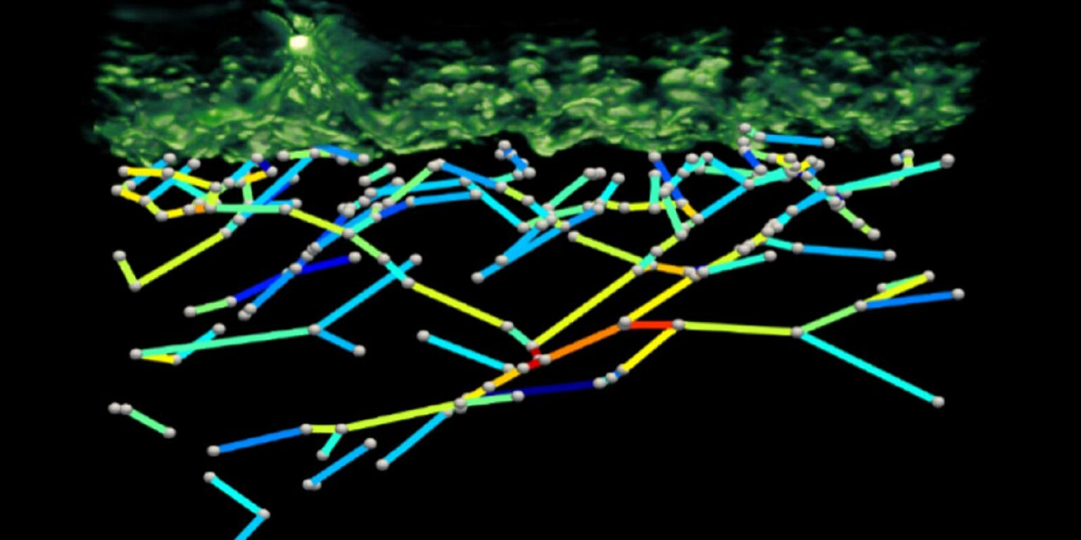 helmholtz-imaging.de