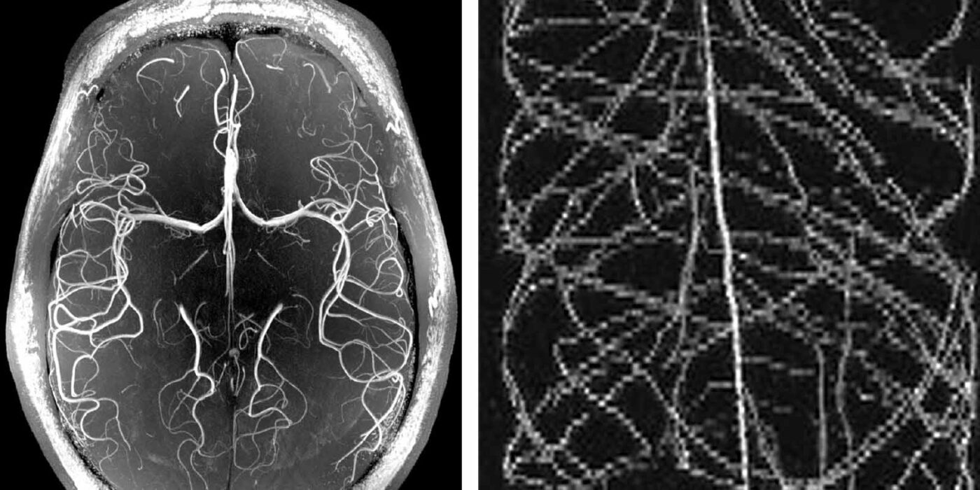 helmholtz-imaging.de