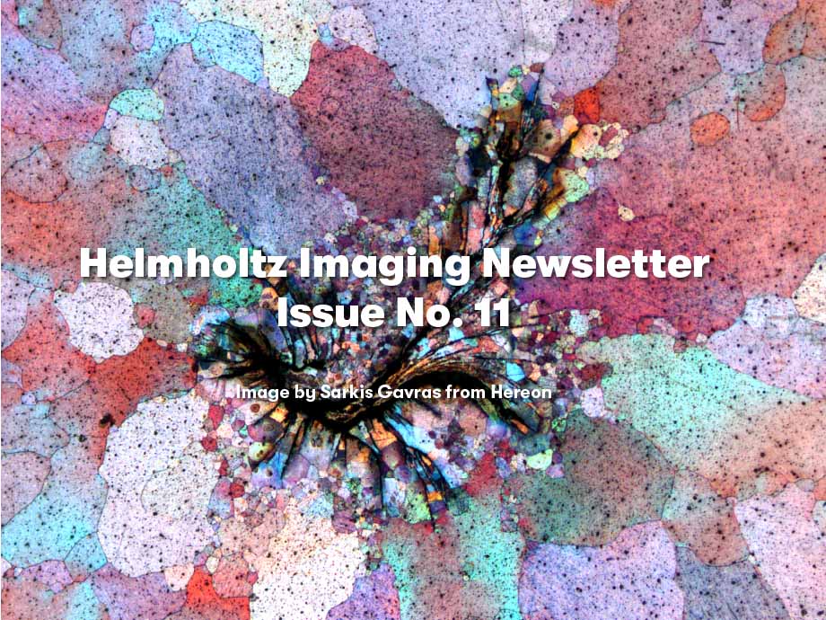 helmholtz-imaging.de