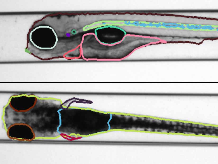 Collaborations – helmholtz-imaging.de