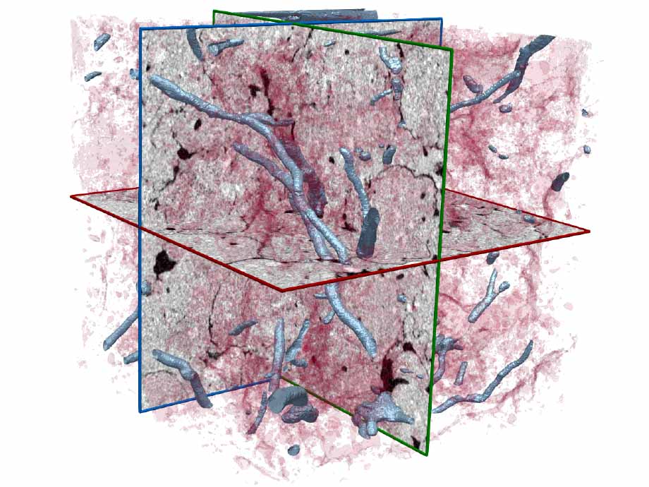 Collaborations – helmholtz-imaging.de