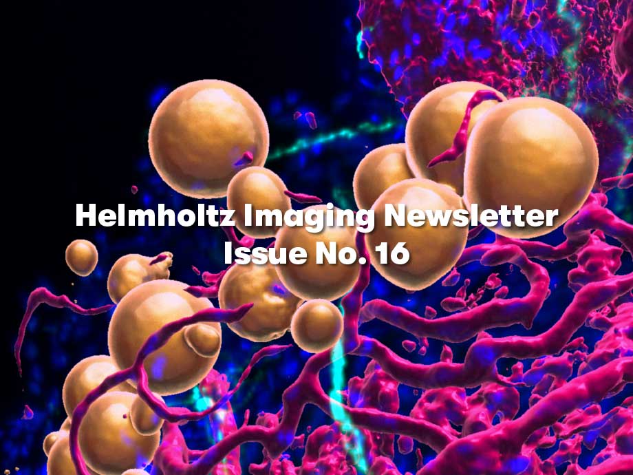 helmholtz-imaging.de