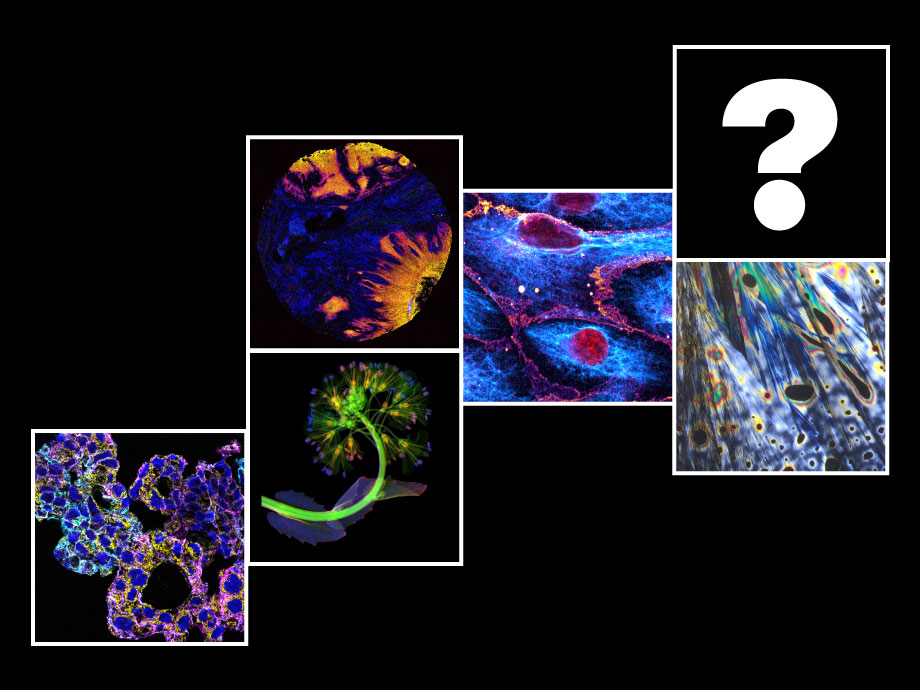 helmholtz-imaging.de