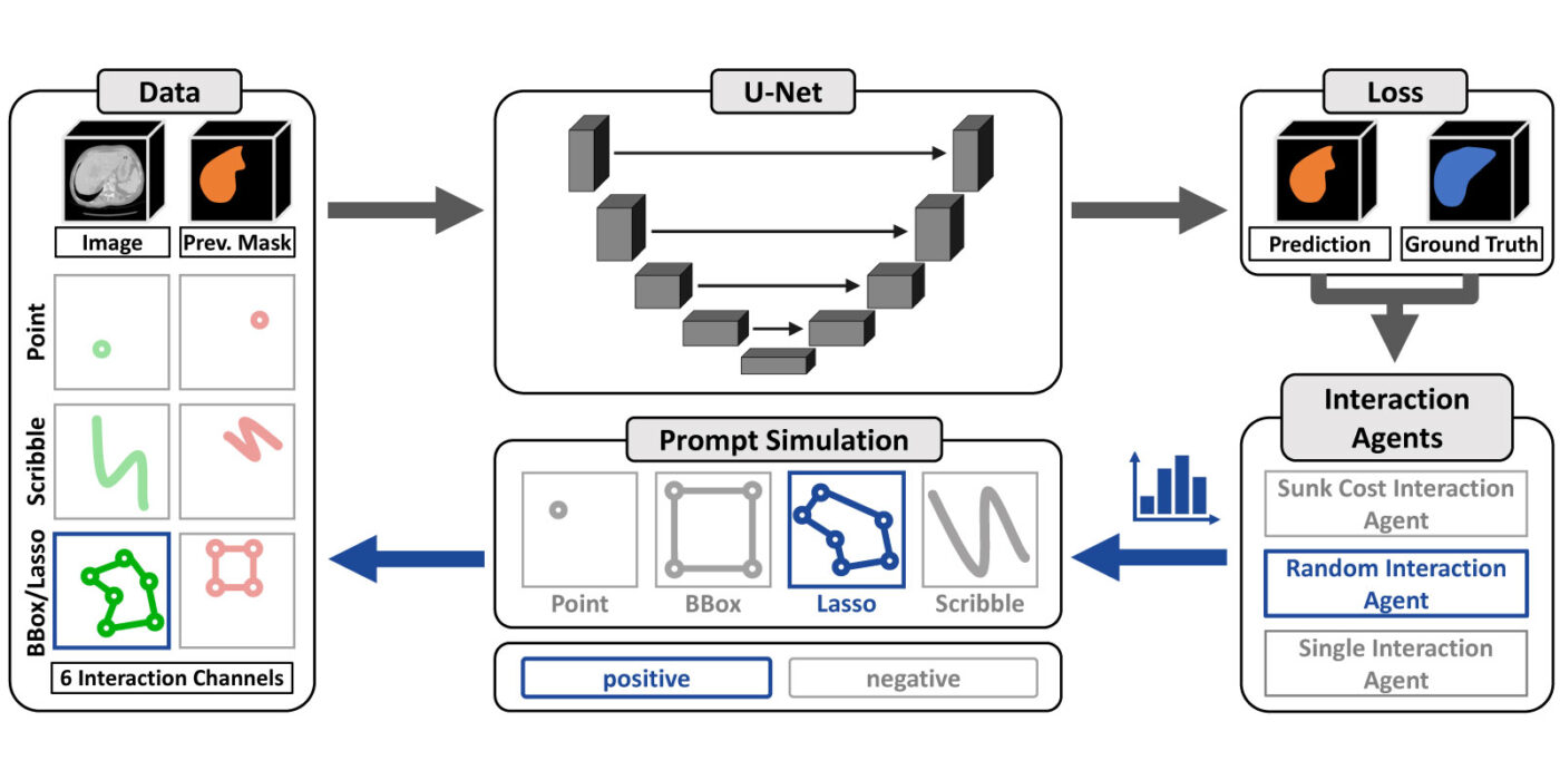 nnInteractive: A Breakthrough in AI-Driven 3D Interactive Segmentation – helmholtz-imaging.de