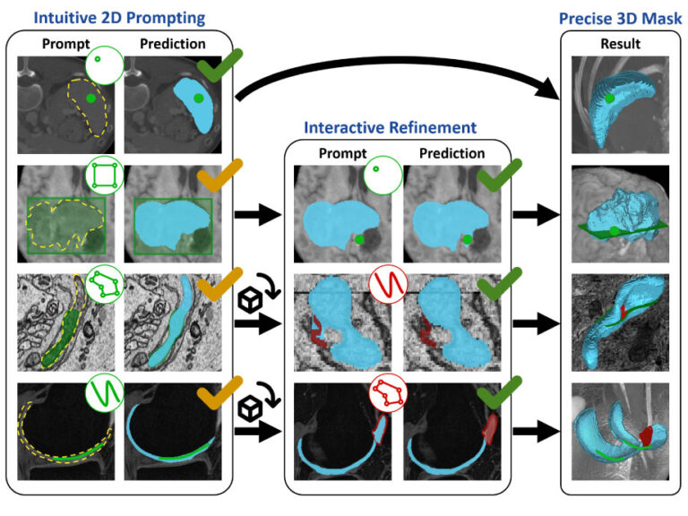helmholtz-imaging.de