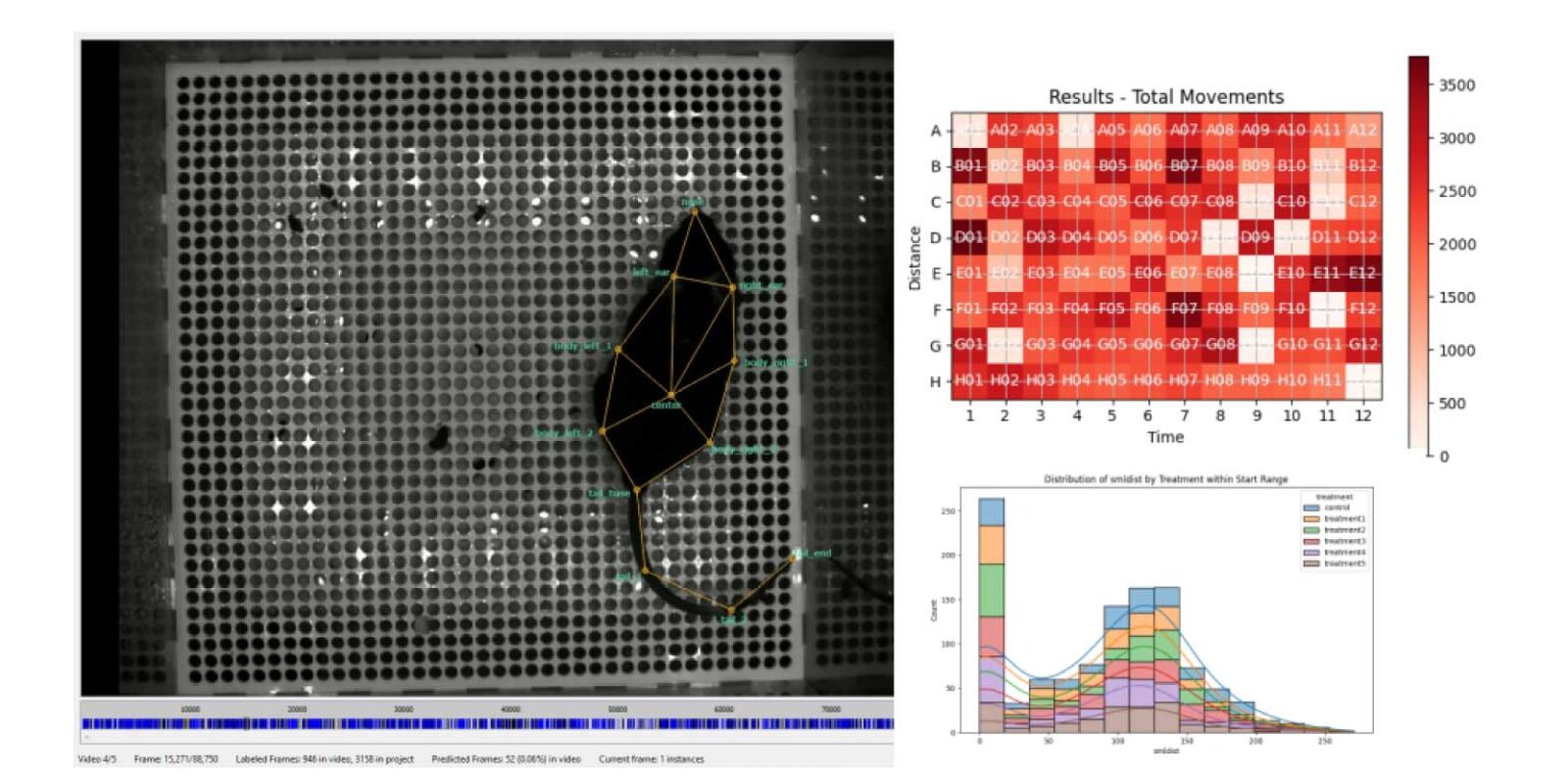 BestMeta – helmholtz-imaging.de